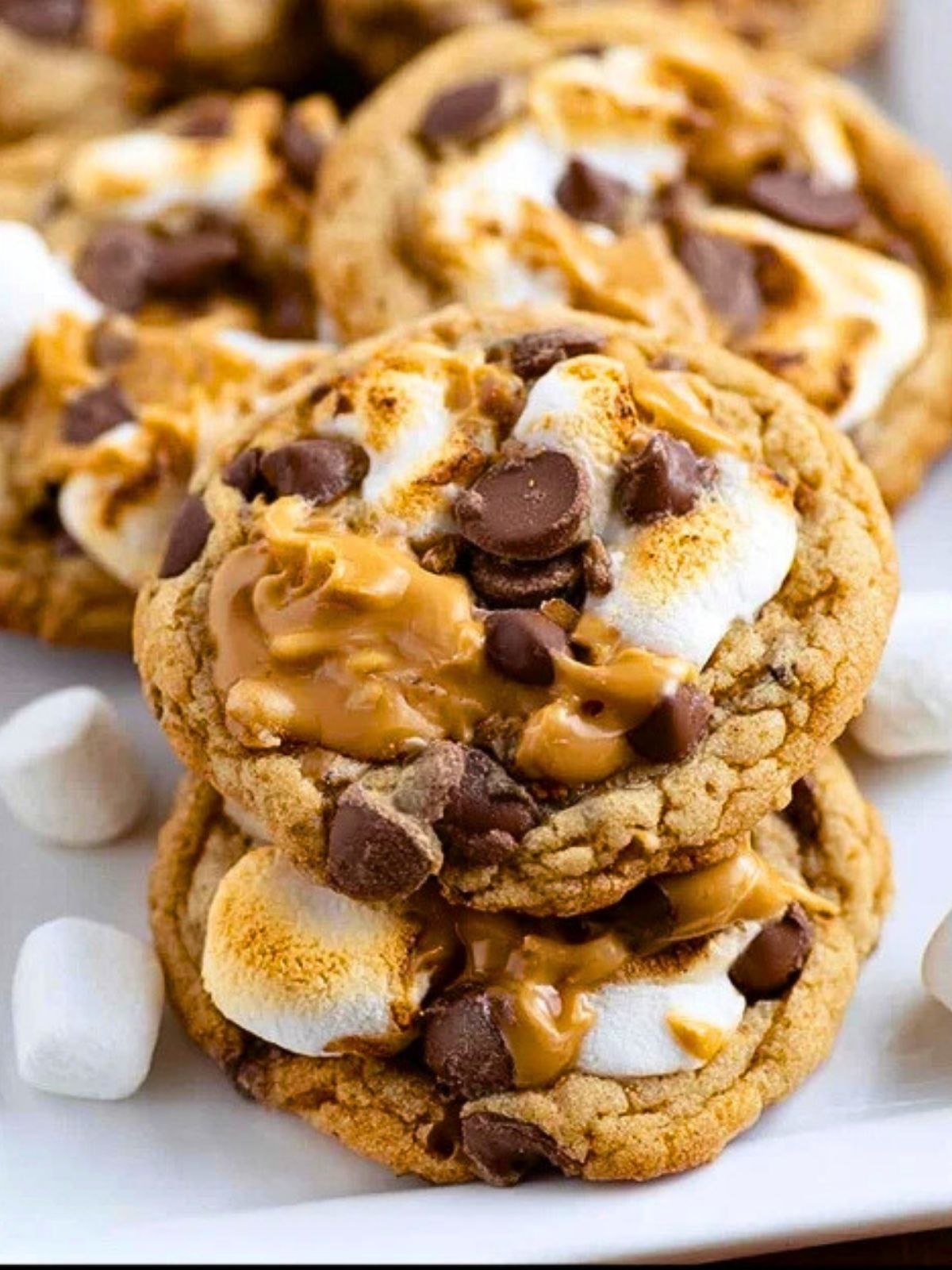 Chocolate Peanut Butter Marshmallow Cookies