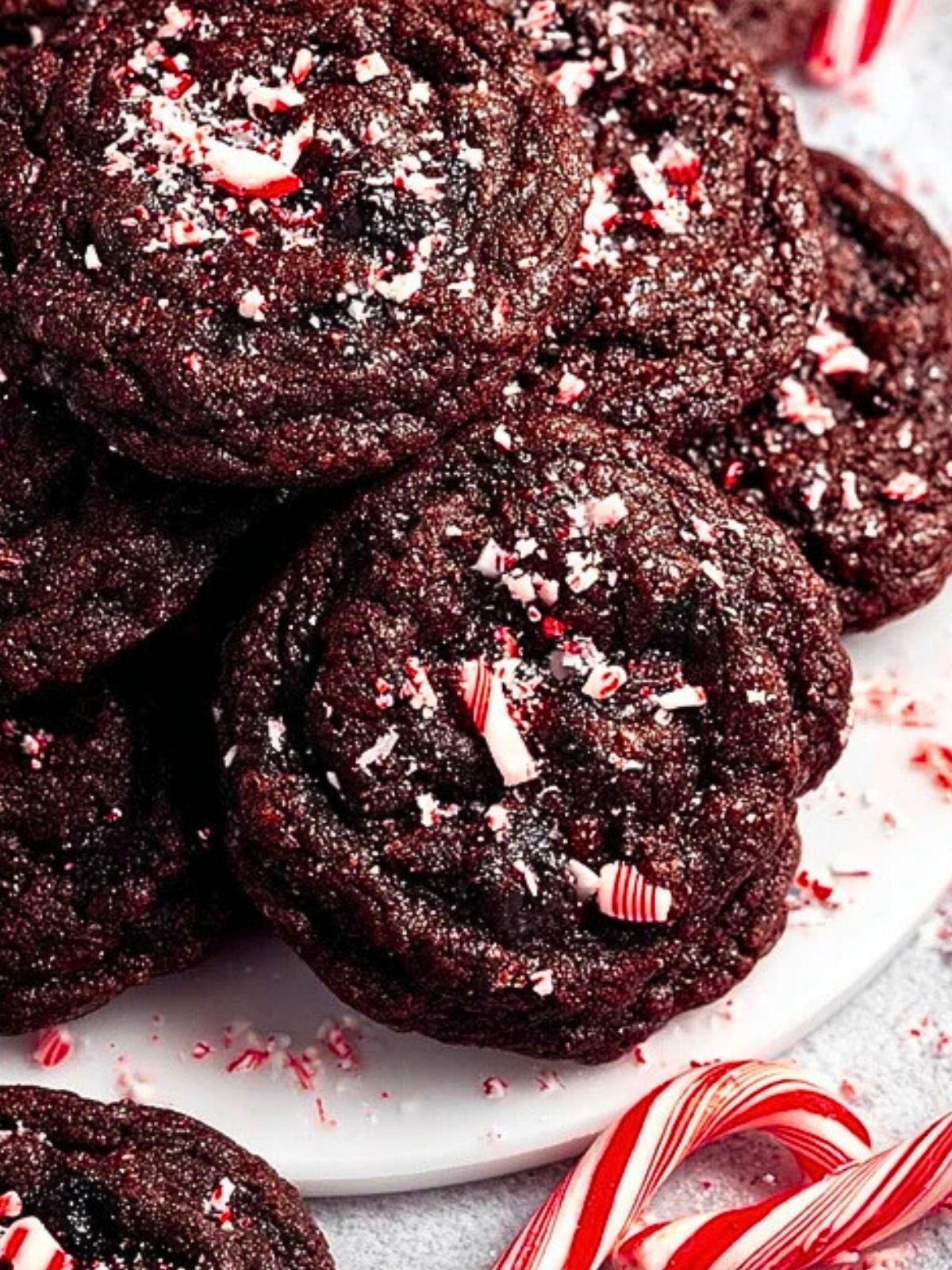 Double Chocolate Peppermint Cookies